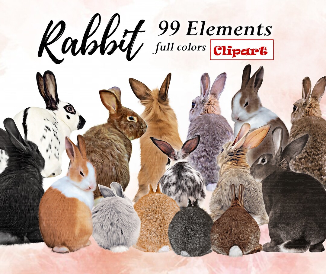 Rabbits Clip Art, Cute Pet Clipart, Fluffy Pets, Colorful Bunnies ...