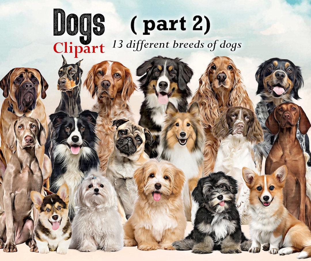Dog Breeds Clipart: Dog Lovers PNG Graphics (digital Download) - Etsy