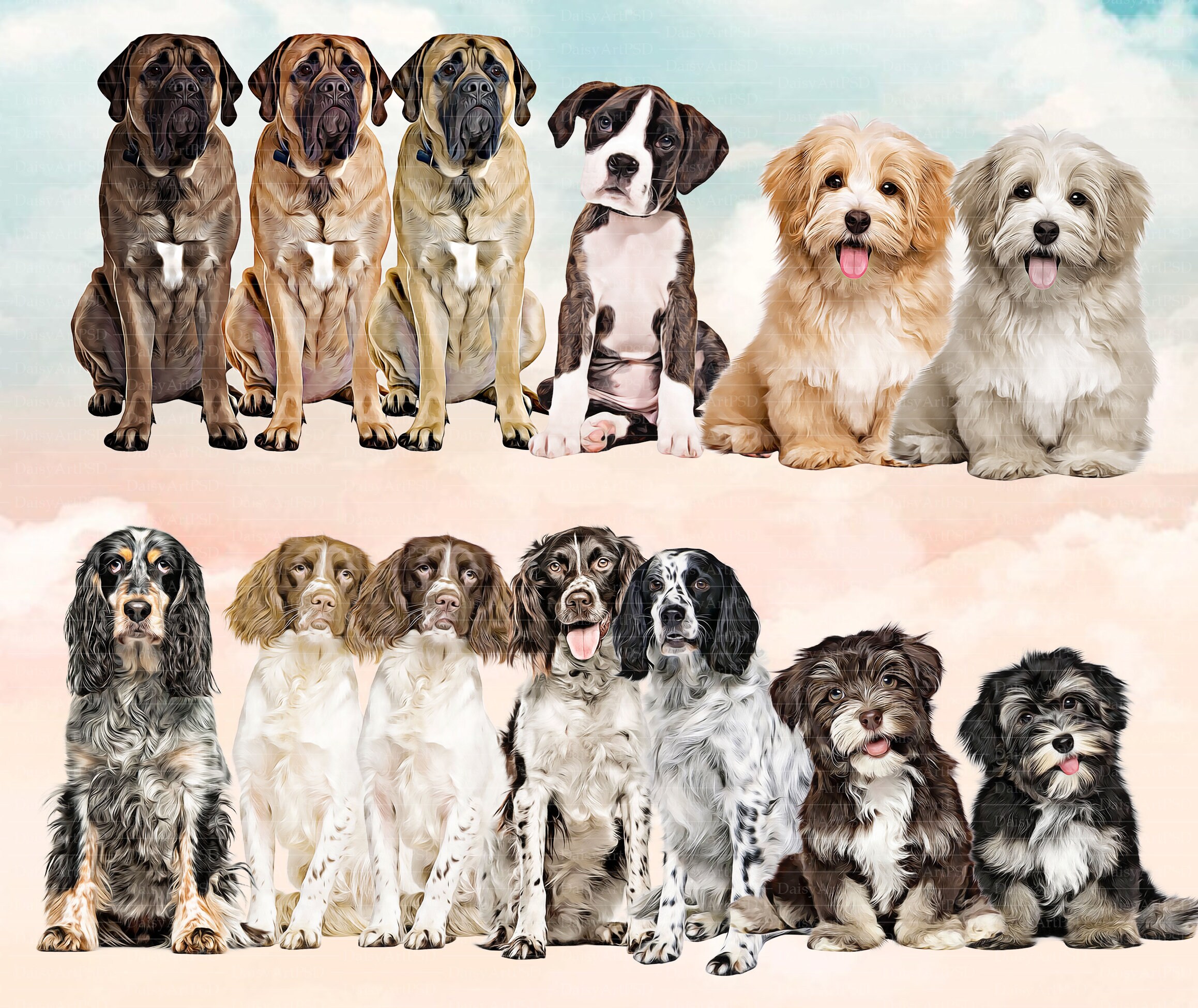 Dog Breeds Clipart: Dog Lovers PNG Graphics (digital Download) - Etsy