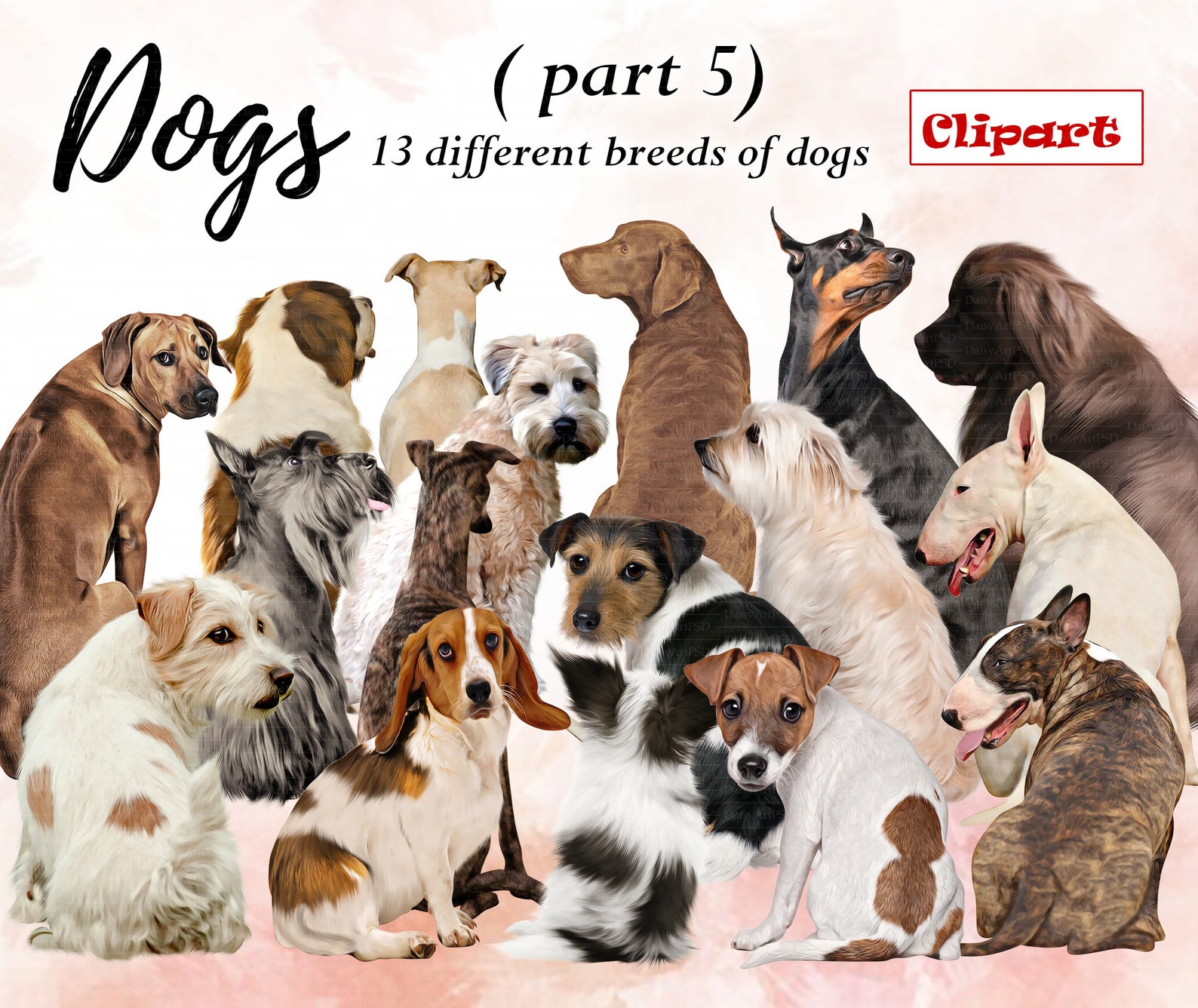 Dog Breeds Clipart dogs CLIPART PETS 05 White - Etsy