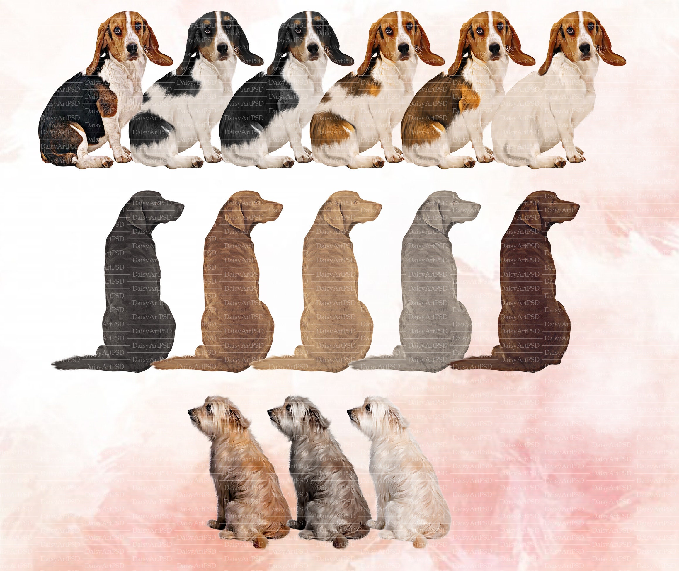 Dog Breeds Clipart dogs CLIPART PETS 05 White - Etsy