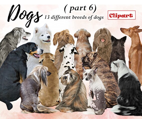 Dog Breeds Clipart dogs CLIPART PETS 06 | Etsy