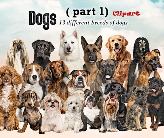 Dog Breeds sitting in front Clipart DOGS CLIPART 01 | Etsy