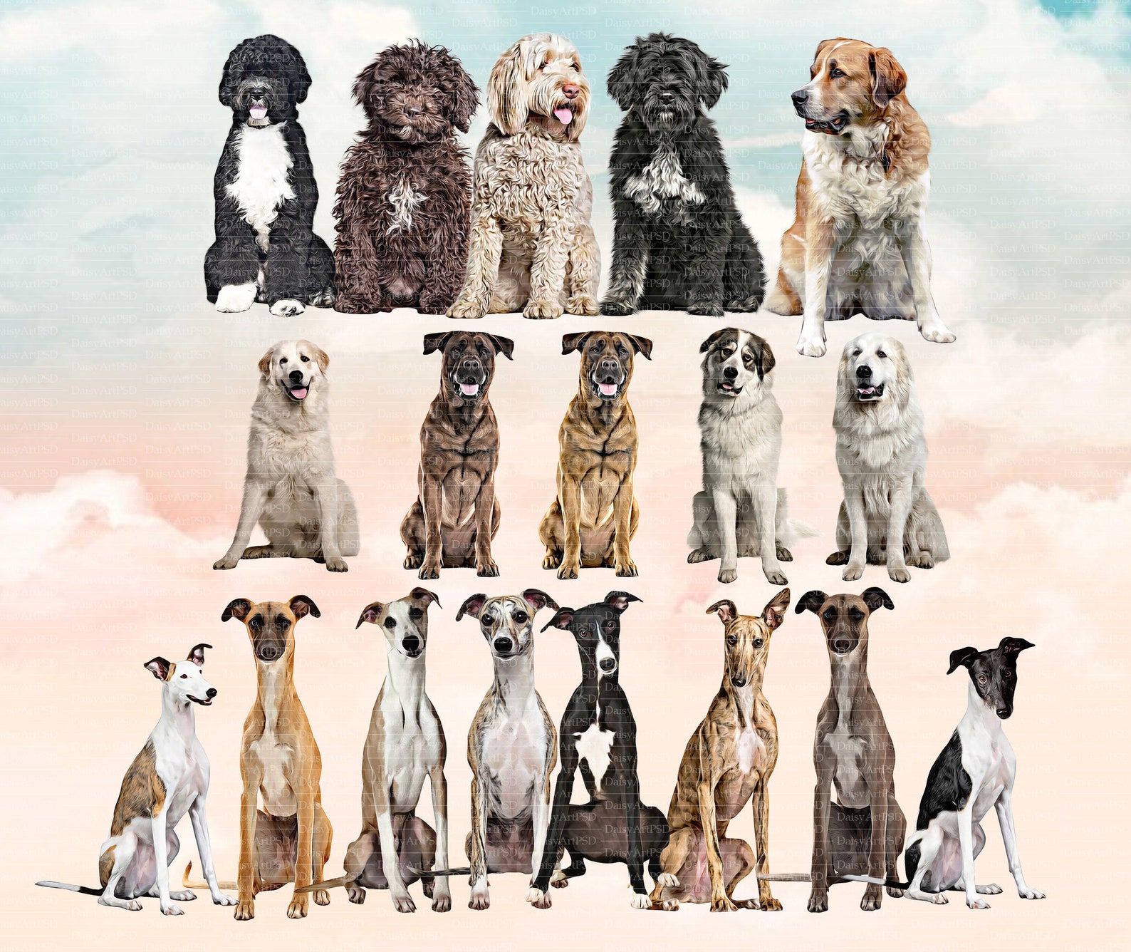 Dog Breeds Sitting in Front Clipart dogs CLIPART 06 - Etsy UK