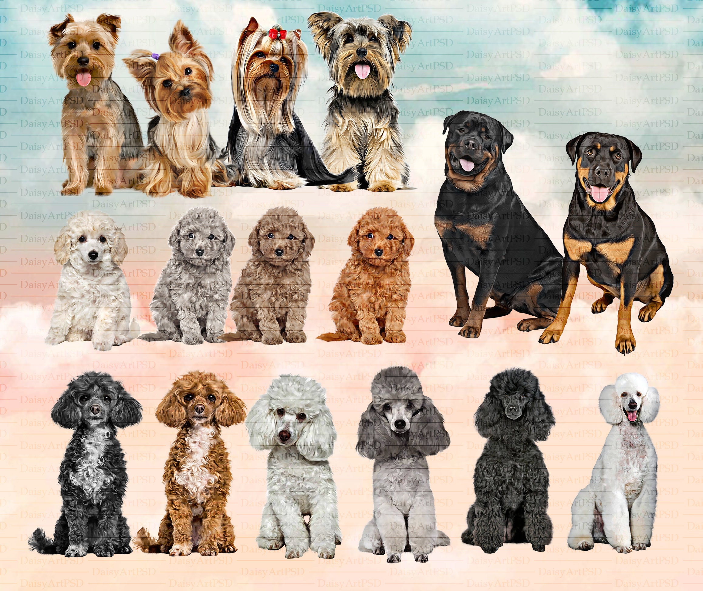 Dog Breeds sitting in front Clipart DOGS CLIPART 01 | Etsy