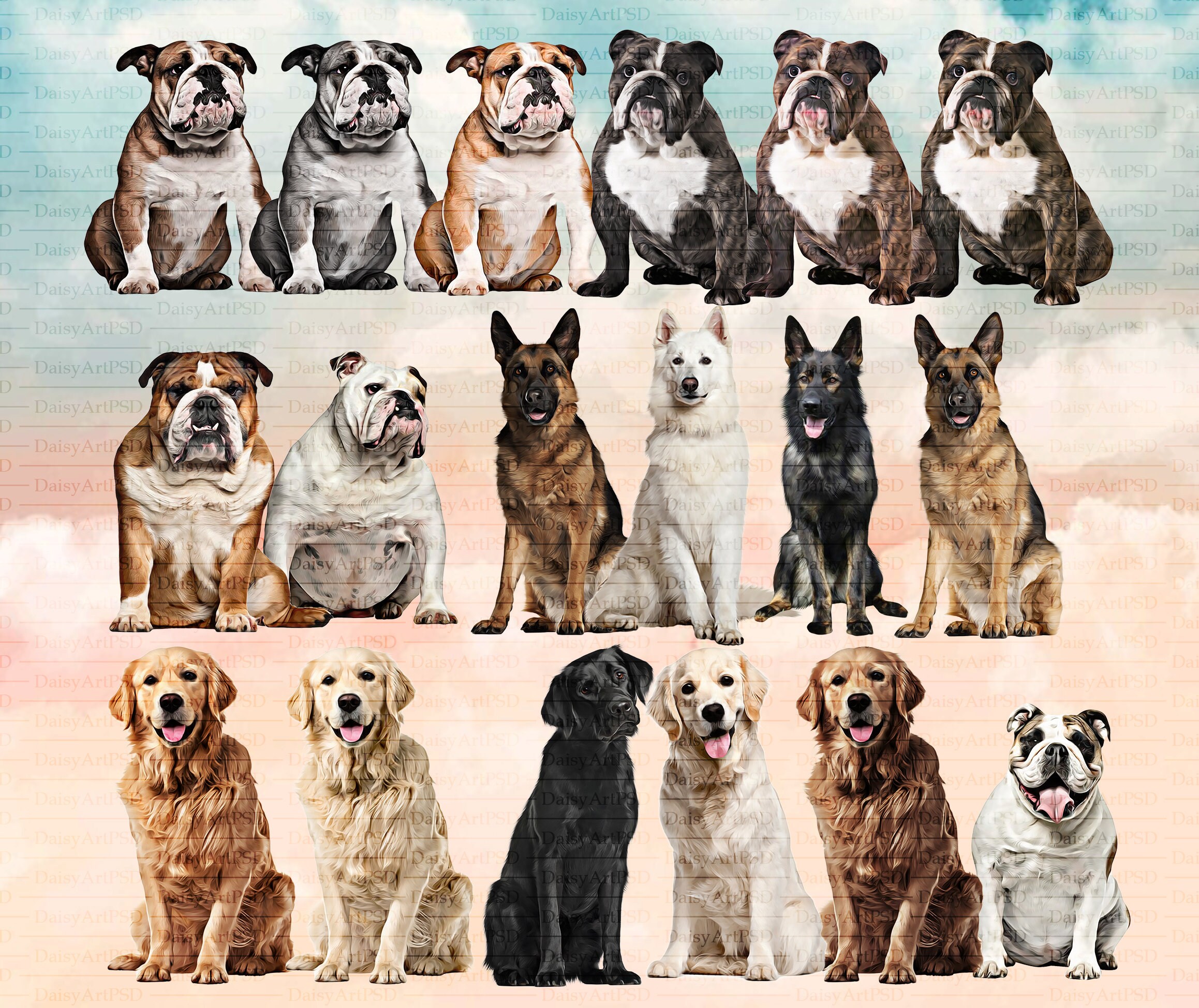 Dog Breeds sitting in front Clipart DOGS CLIPART 01 | Etsy