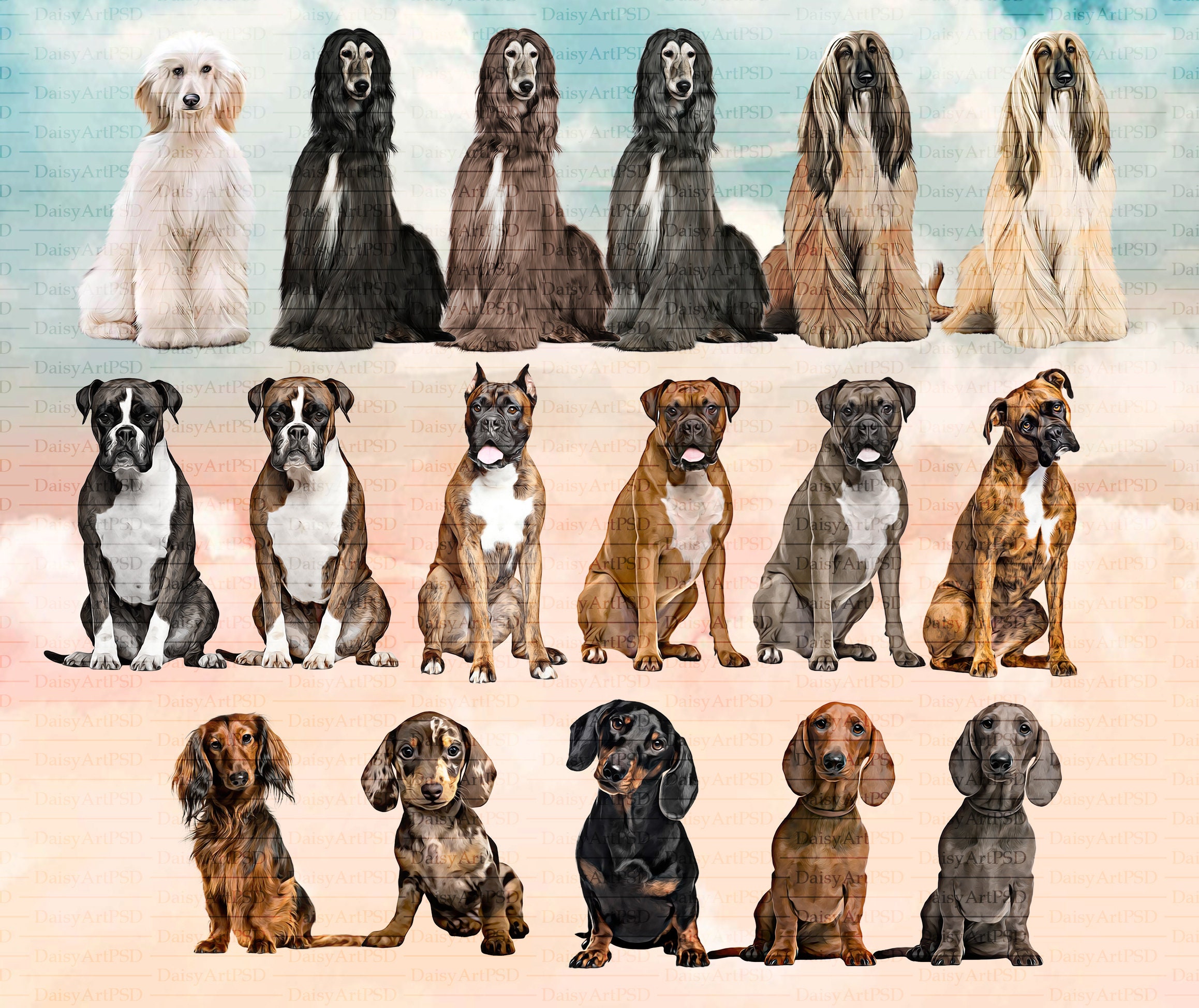 Dog Breeds sitting in front Clipart DOGS CLIPART 01 | Etsy