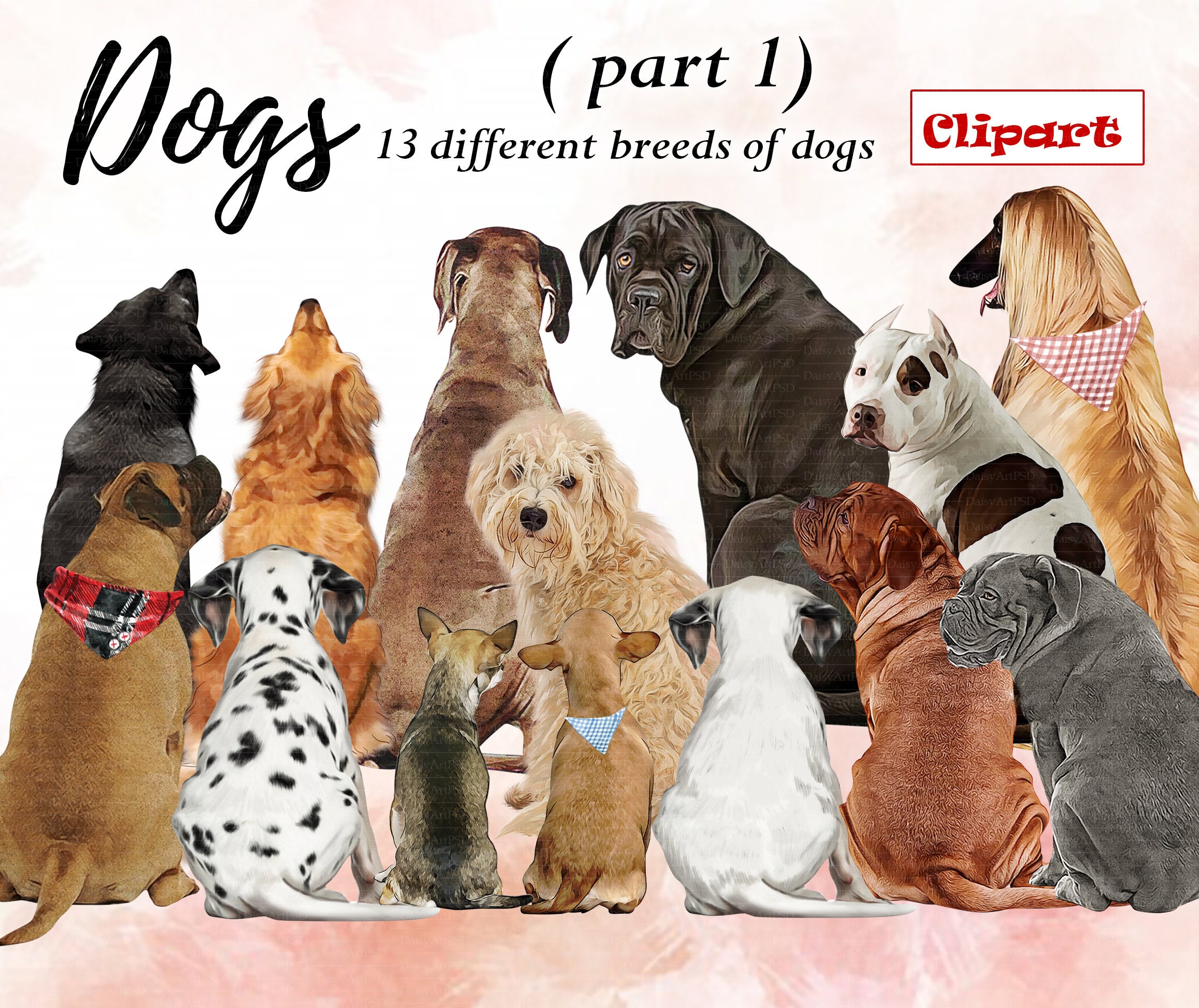 Dog Breeds Clipart dogs CLIPART PETS 01 - Etsy
