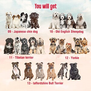 Dog Breeds Clipart: Dog Lovers PNG Graphics (digital Download) - Etsy