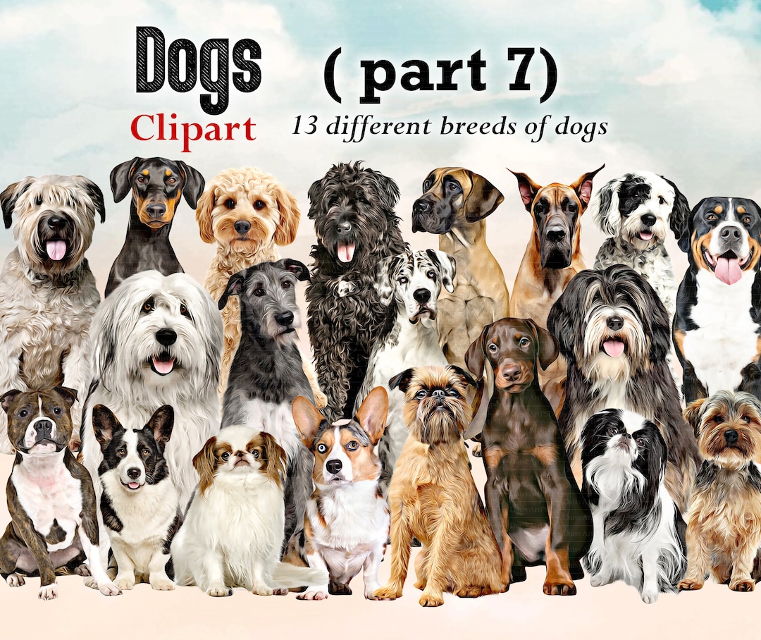 Lots Of Dogs Together