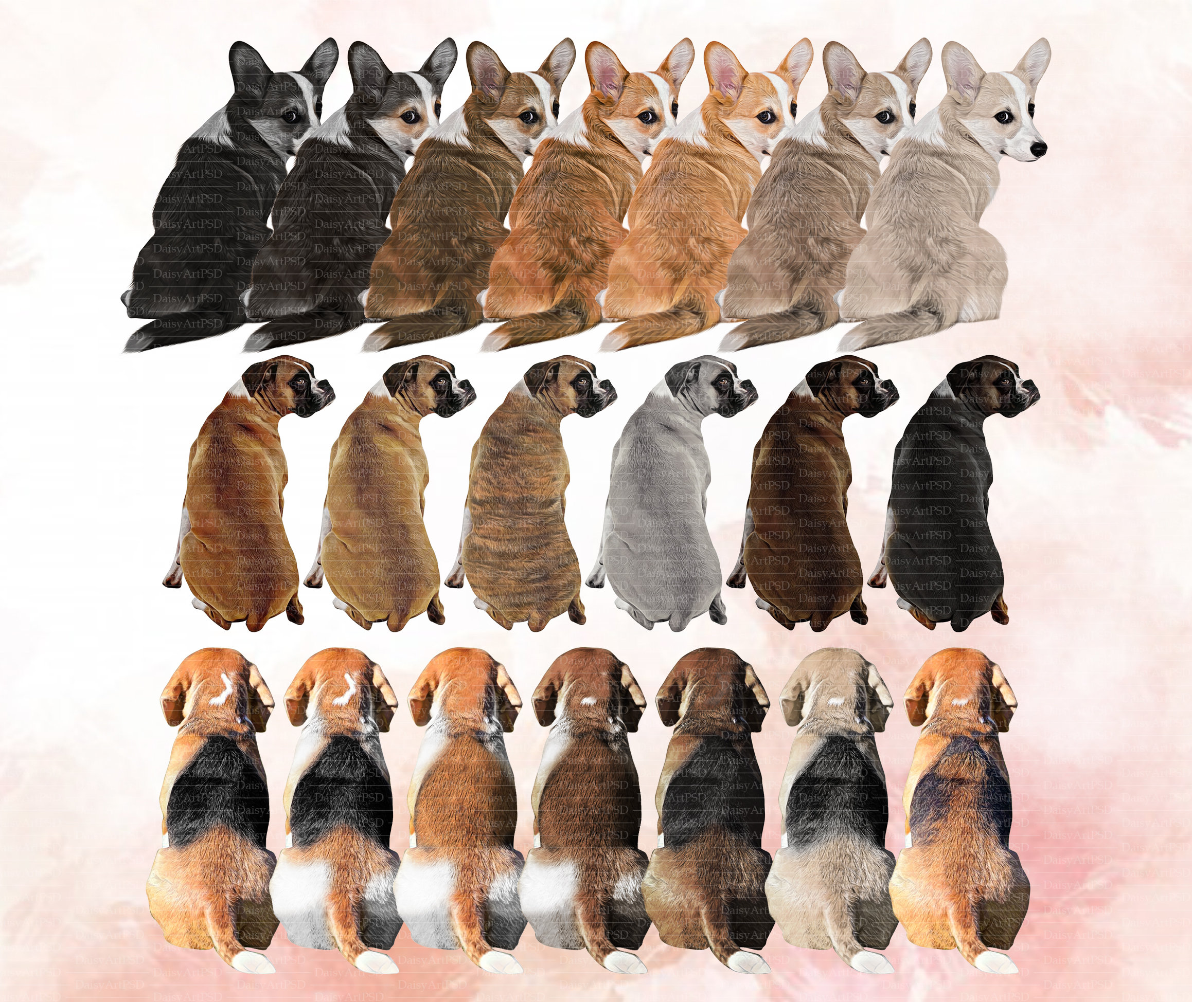 Dog Breeds Clipart dogs CLIPART PETS 03 Beagle - Etsy Australia