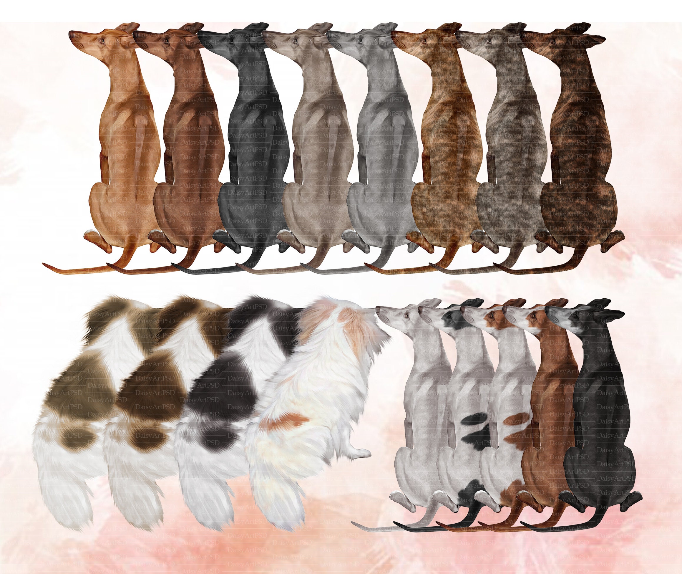 Dog Breeds Clipart dogs CLIPART PETS 06 | Etsy