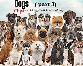 Dog Breeds Clipart: Dog Lovers PNG Graphics (digital Download) - Etsy