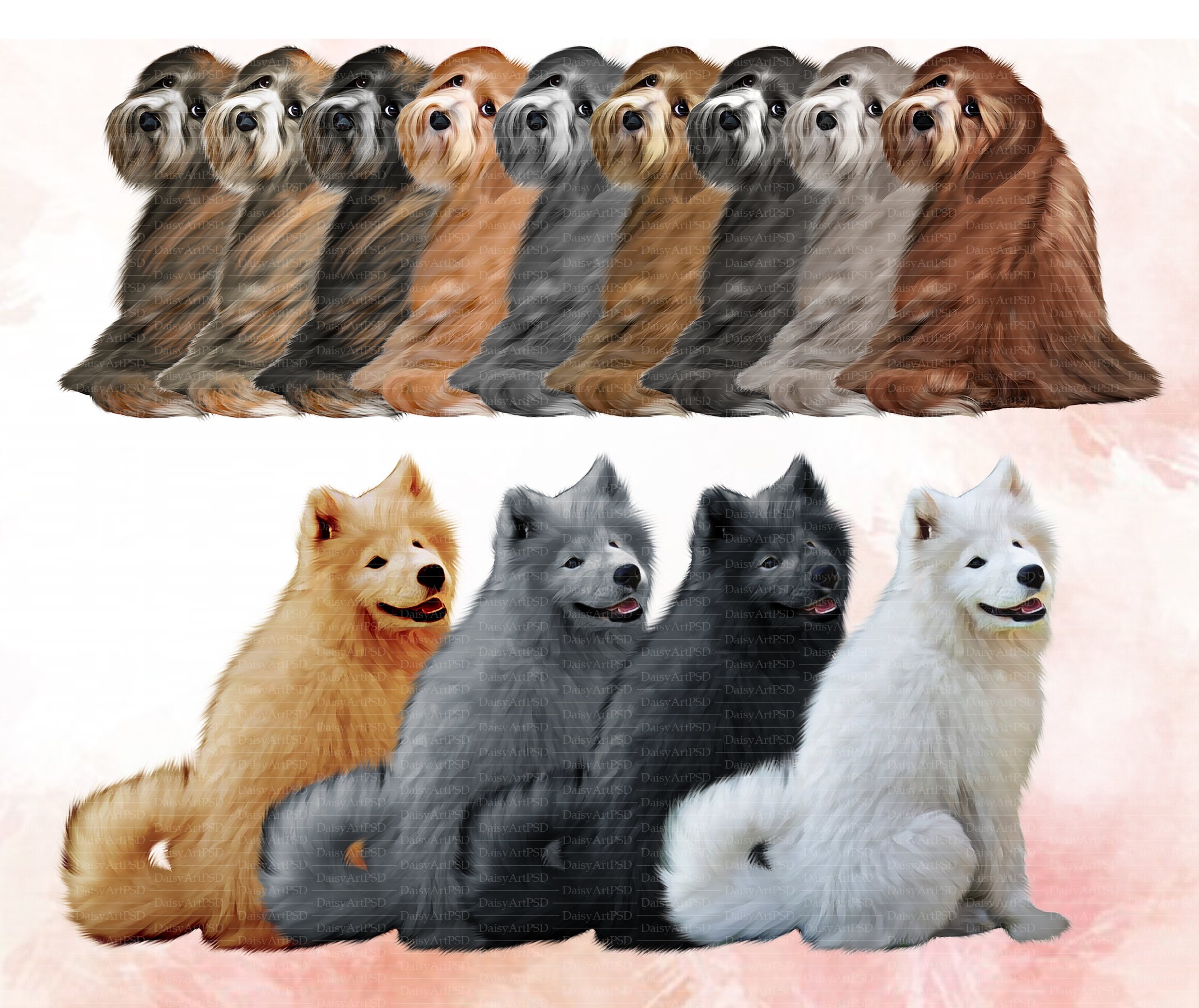 Dog Breeds Clipart dogs CLIPART PETS 06 | Etsy