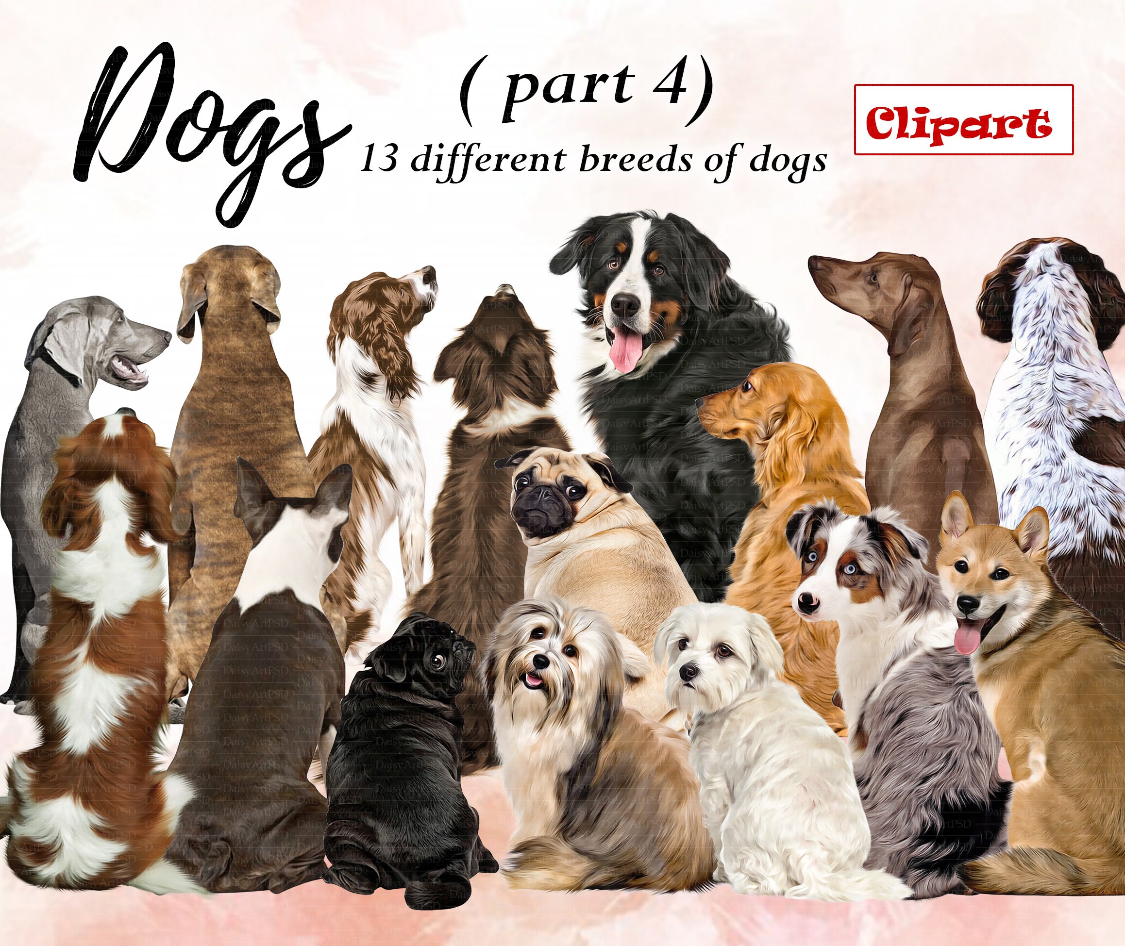 Dog Breeds Clipart dogs CLIPART PETS 04 Cocker | Etsy