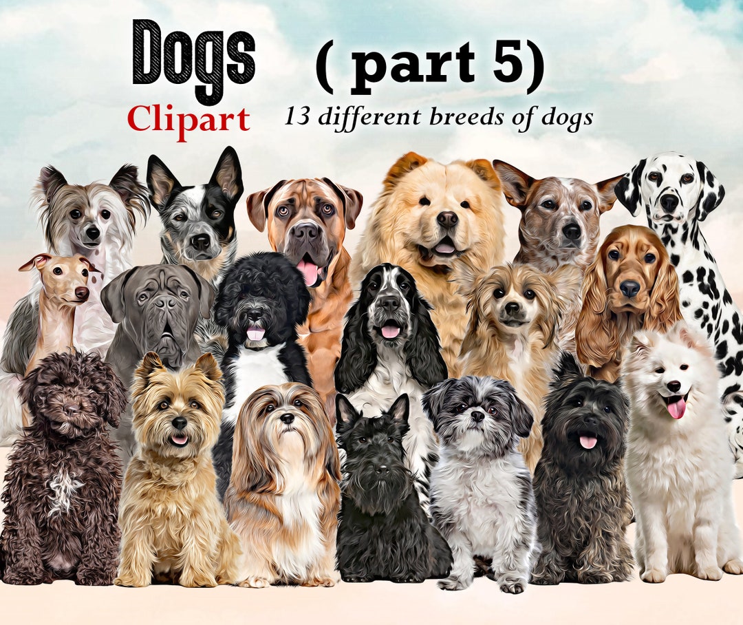 Dog Breeds Clipart: Customizable Dog Lover Art (PNG Digital Download ...