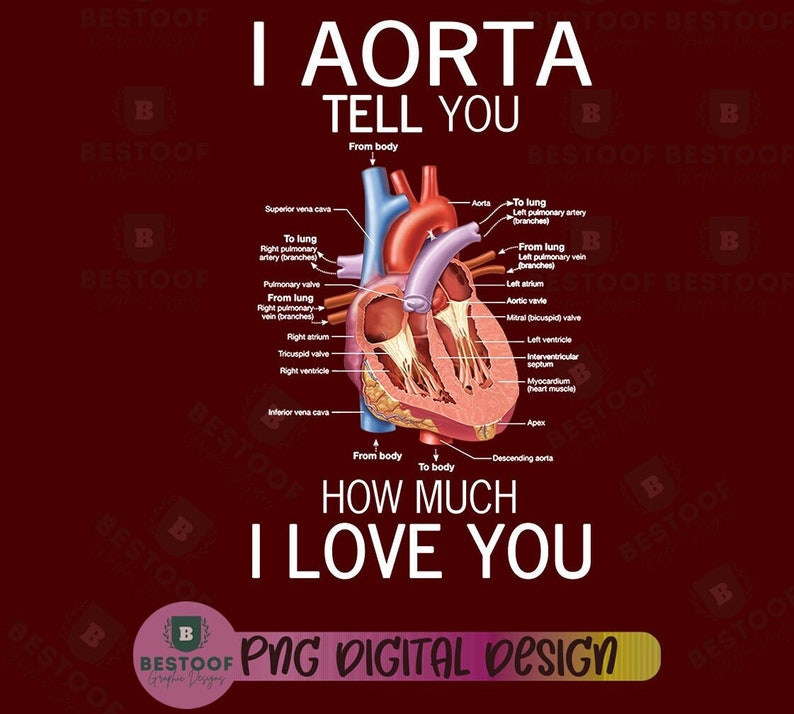 Anatomical Heart Png Nurse Heart Anatomy Graphic Nursing - Etsy