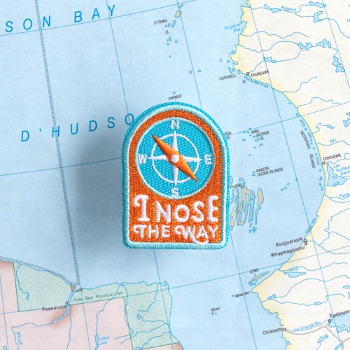 Adventure Buddy Patch for Dogs Iron-on Velcro - Etsy