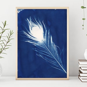 Cyanotype Fine Art Gilcèe Print - Etsy