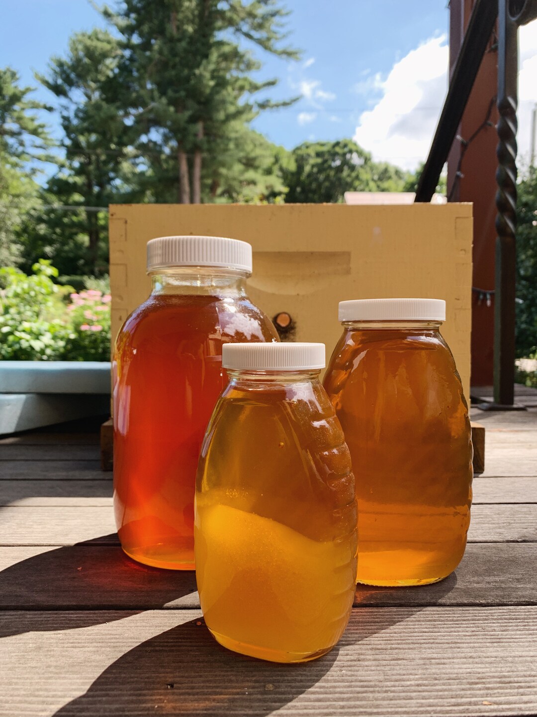 Local Raw Honey - Etsy