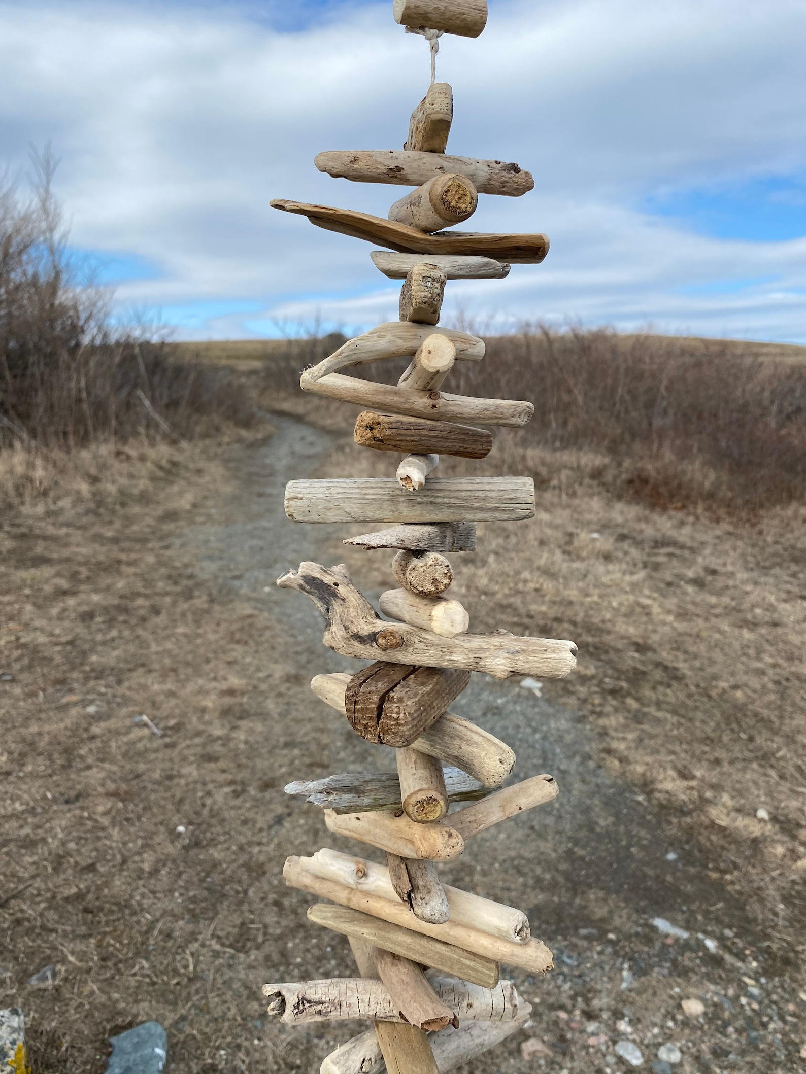 Driftwood Witches Ladder - Etsy