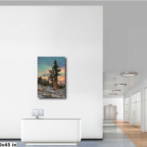 Sierra Juniper - Olmsted Point - Yosemite National Park - Ancient Tree ...