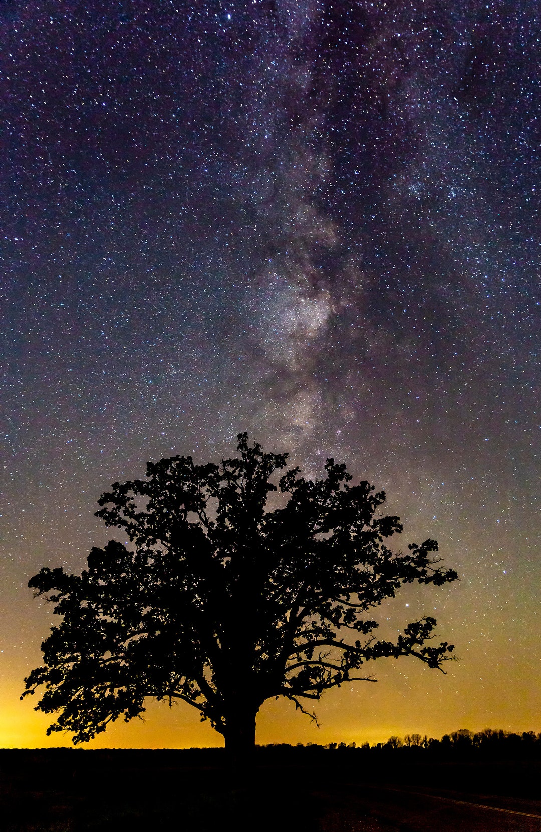 The Milky Way Shines Above the Mcbaine Bur Oak Tree in Central Missouri ...