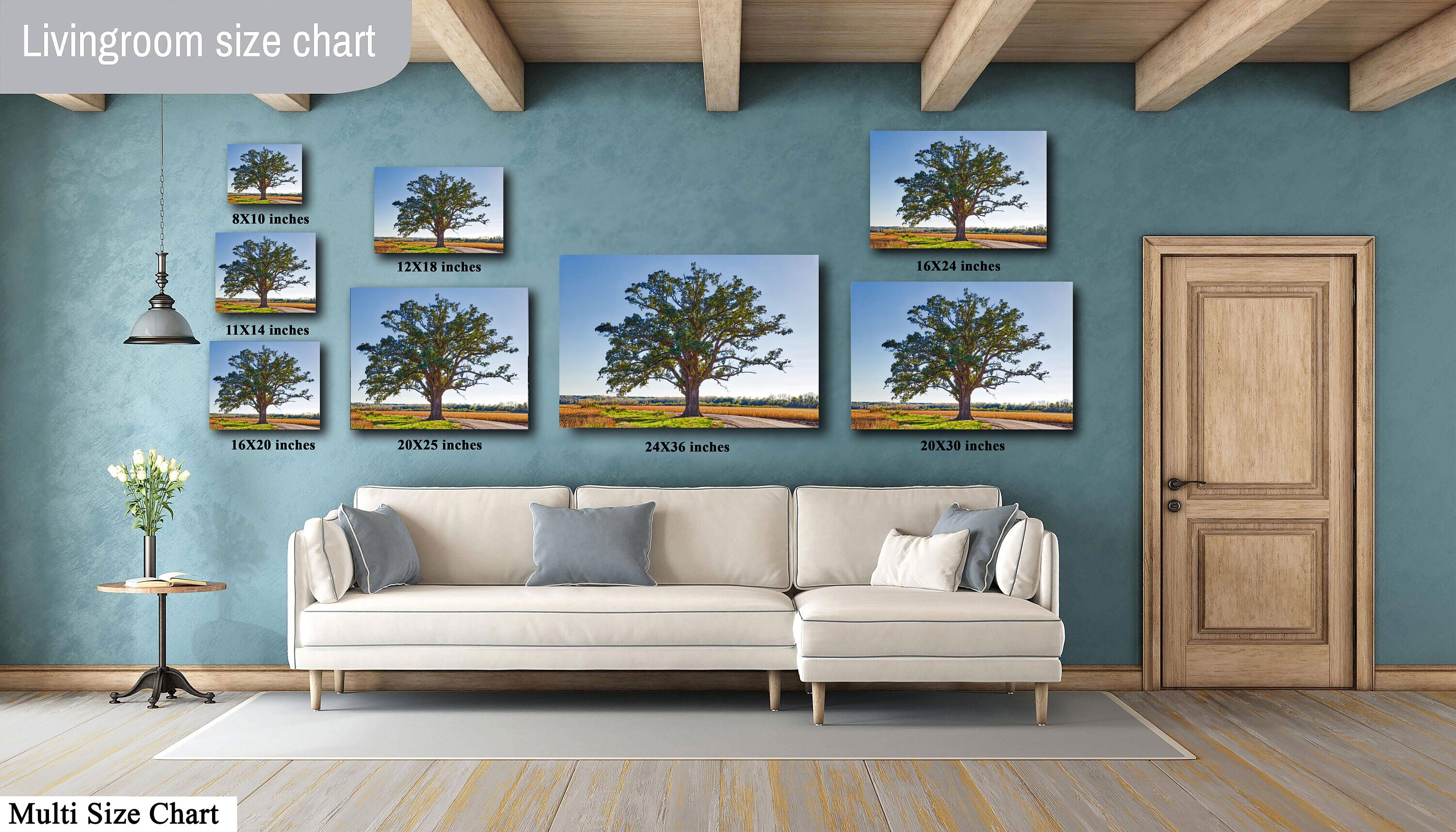 Mcbaine Bur Oak Tree - Living Iconic Landmark Champion Tree Columbia ... Mcbaine Bur Oak Tree - Living Iconic Landmark Champion Tree Columbia ...