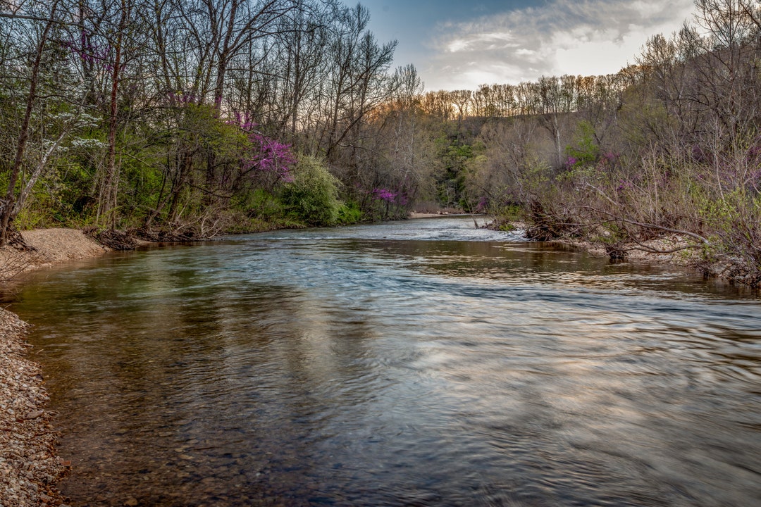Missouri Ozarks - Spring at Sinking Creek - Flowering Dogwood and ...