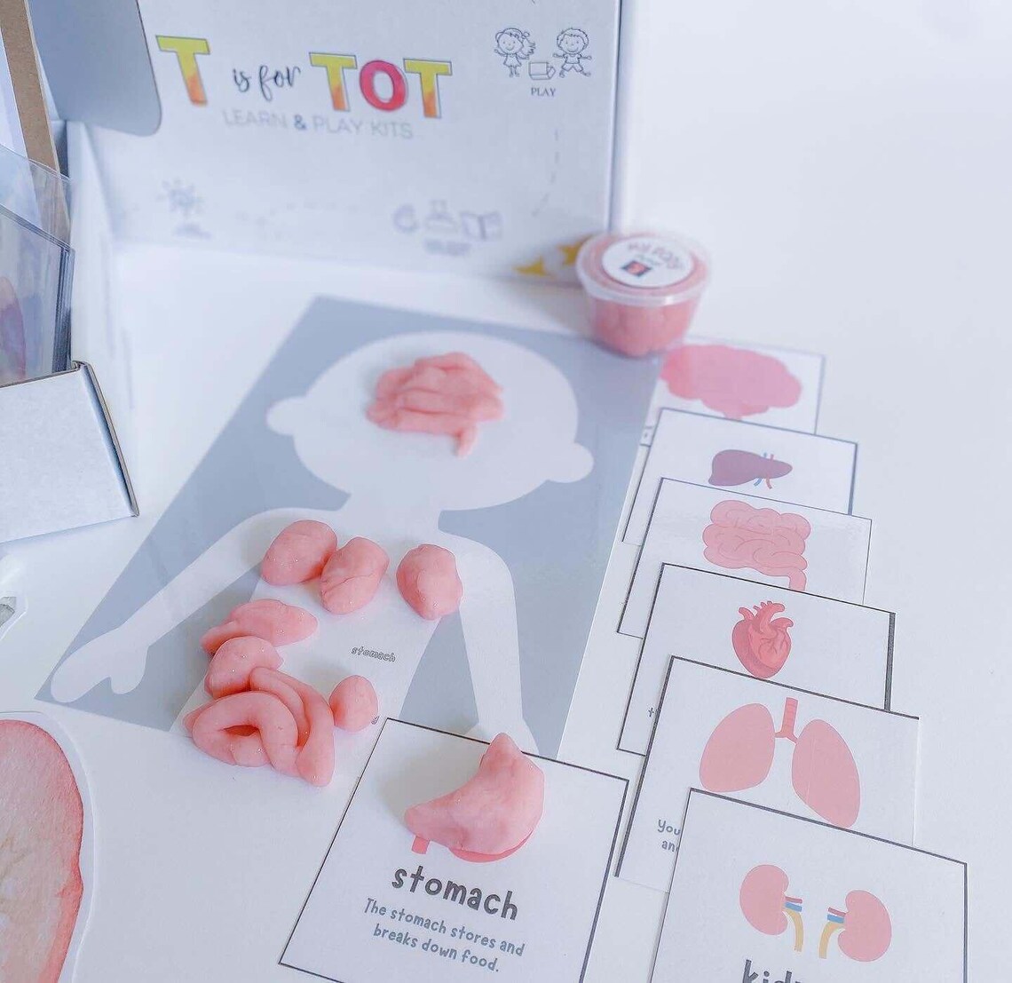 Human Body Kit - Etsy