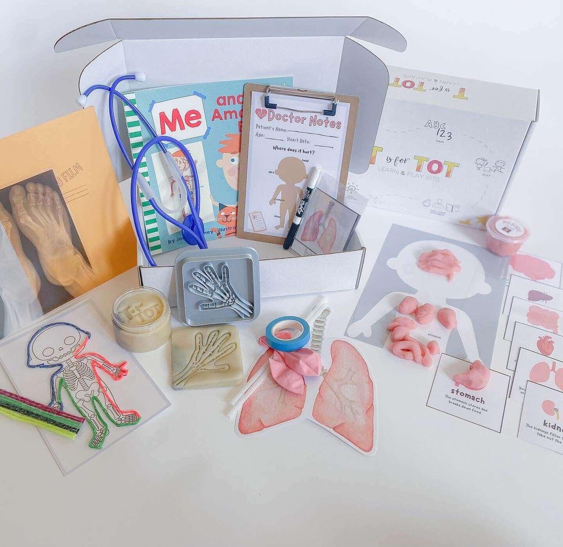 Human Body Kit - Etsy