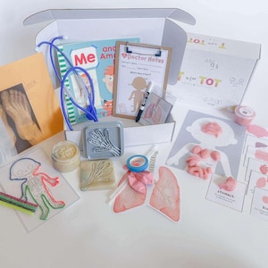 Human Body Kit - Etsy