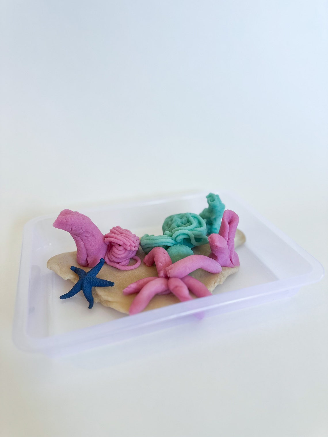 Coral Reef Kit for Kids Ocean Activities Playdough Kit Preschool ...