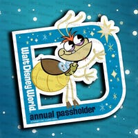 Annual Passholder - Etsy