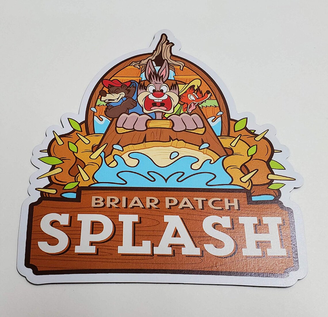Disney's Splash Mountain Briar Patch Splash - Etsy