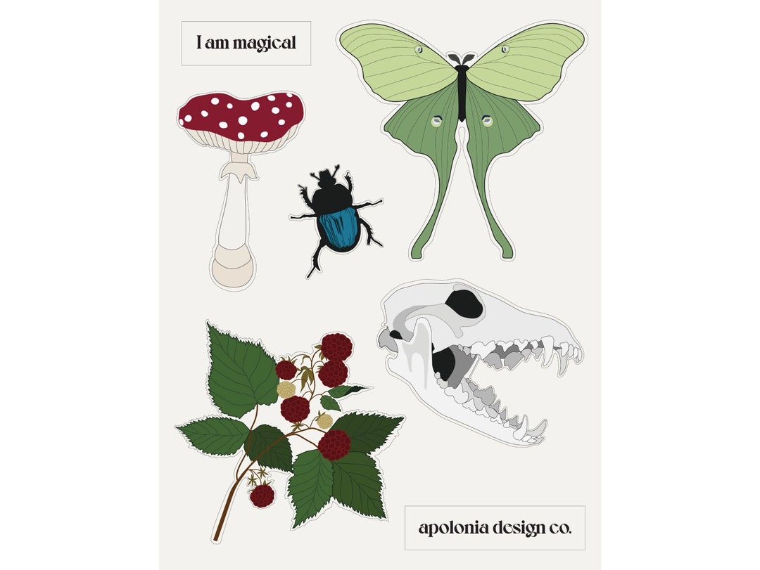 Enchanted Forest Sticker Collection Adorable Bug Decals for Planners ...