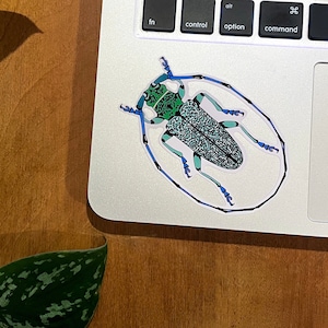 Colorful Beetle Sticker Set Adorable Vinyllaptop Decals Perfect Gift ...