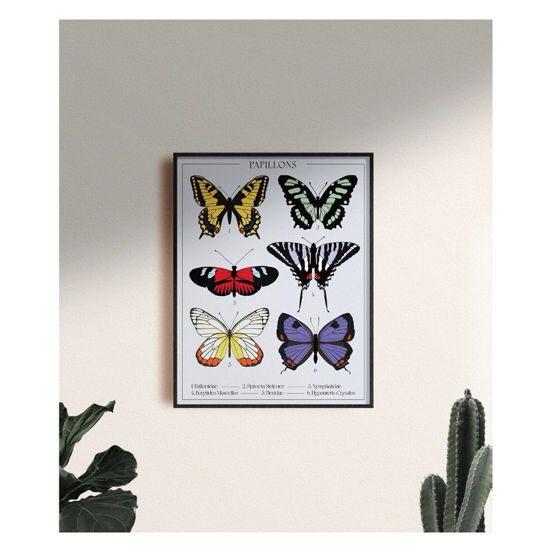 Butterfly Poster - Etsy