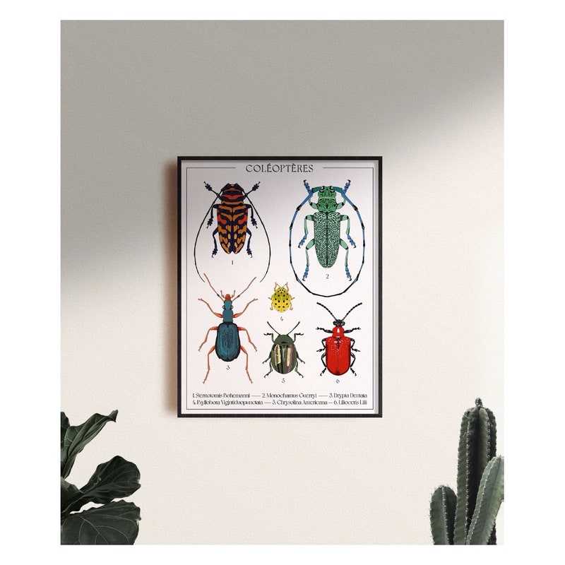 Bug Art Print - Etsy