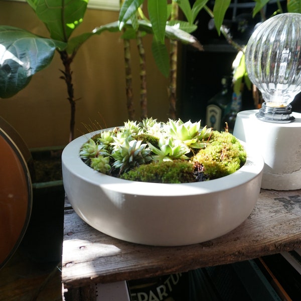 Large Shallow Planter - Etsy