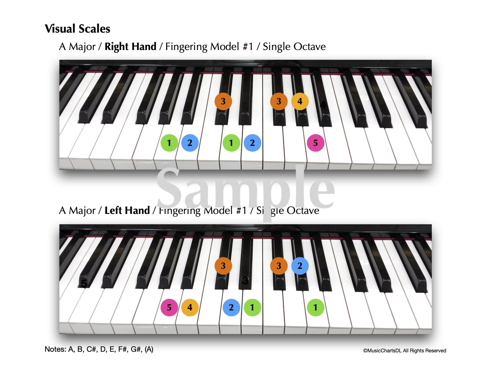 Visual Scales Learning Cards / 12 Major Scales / RH, LH Fingering ...