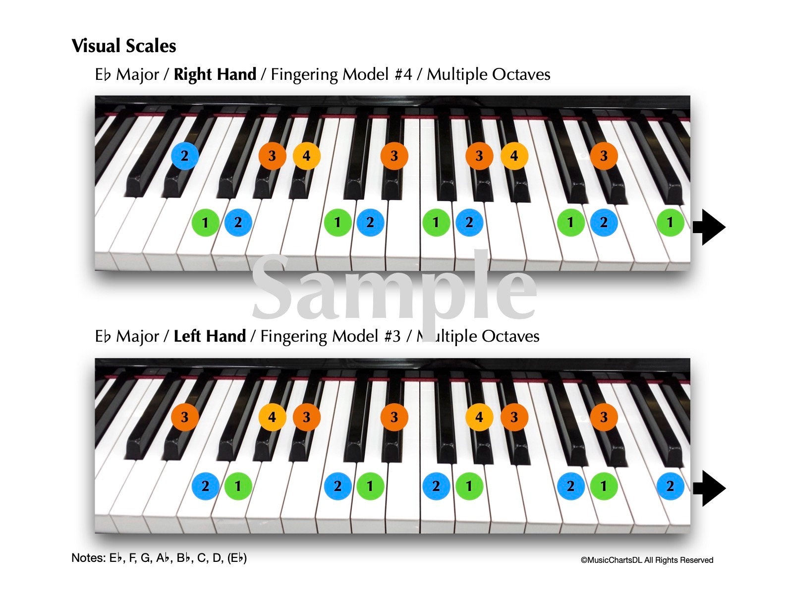 Visual Scales Learning Cards / 12 Major Scales / RH LH - Etsy España