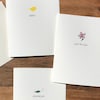 5 Special Occasion Cards Variety Card Pack Bundle of Cards Celebration ...
