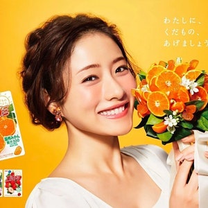 Japanese Gummy Candy Meiji Snacksfruit Juice 100% Grape - Etsy UK