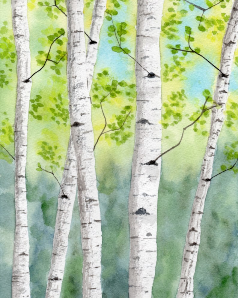 Grove of Aspen Trees Watercolor PRINT, Tree Lover, Gift for Couple ...