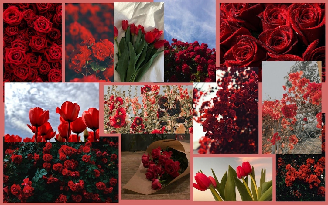 Red Flowers Moodboard/wallpaper - Etsy