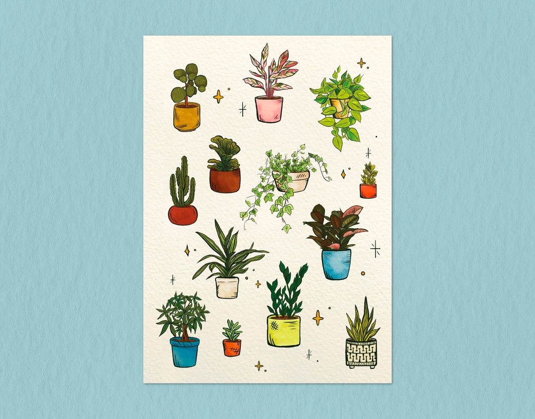 House Plants 5x7 Print Digital Drawing - Etsy