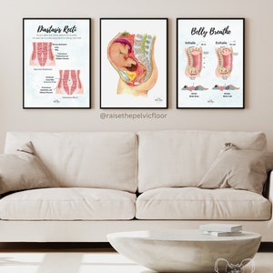 Belly Breathe Pathophysiology Breathe in Breathe Out Education Poster ...