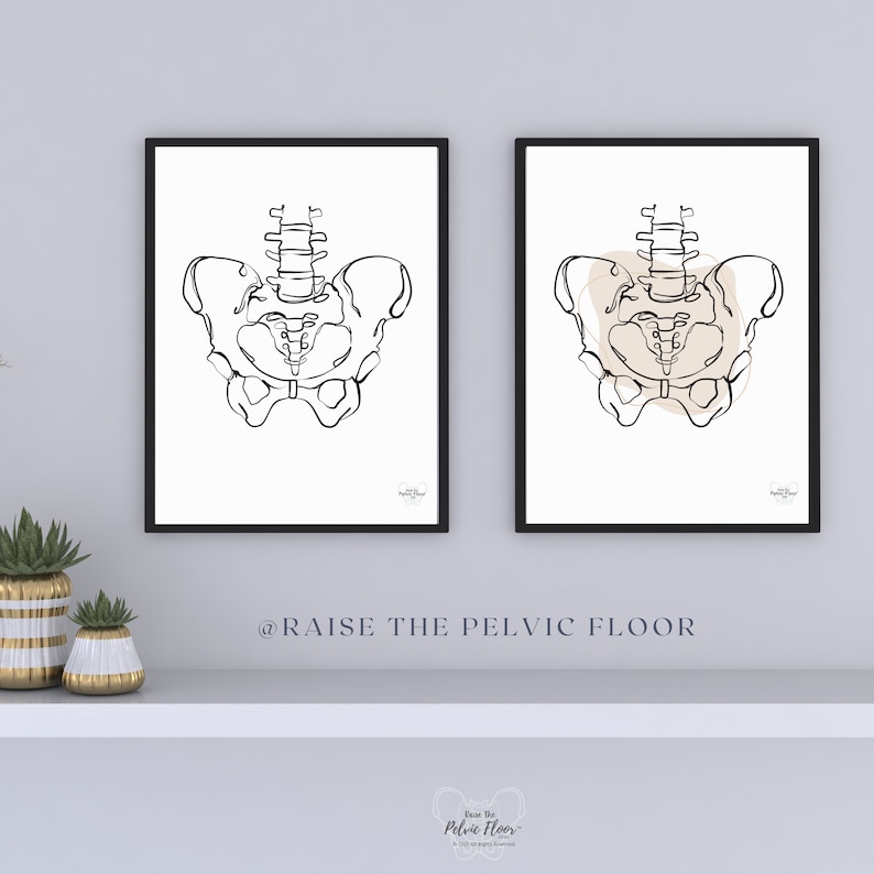 Pelvic Bones Art *digital Download* Abstract Pelvis, Line Art, Pelvic ...