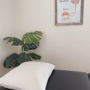 Brain and Bladder Educational Poster | Wall Art | Physiology of ...